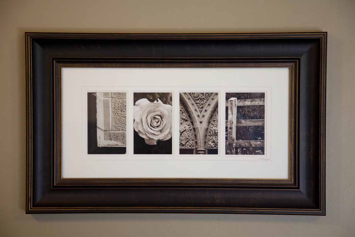 Alphabet Photography Photo Gallery